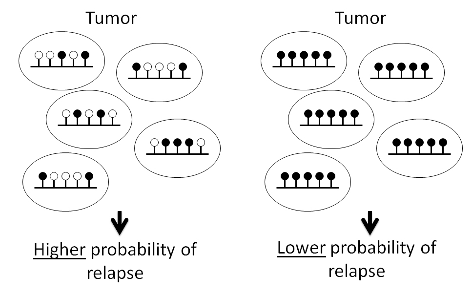 Changes in Cancer Epigenome Implicated in Chemotherapy Resistance and ...