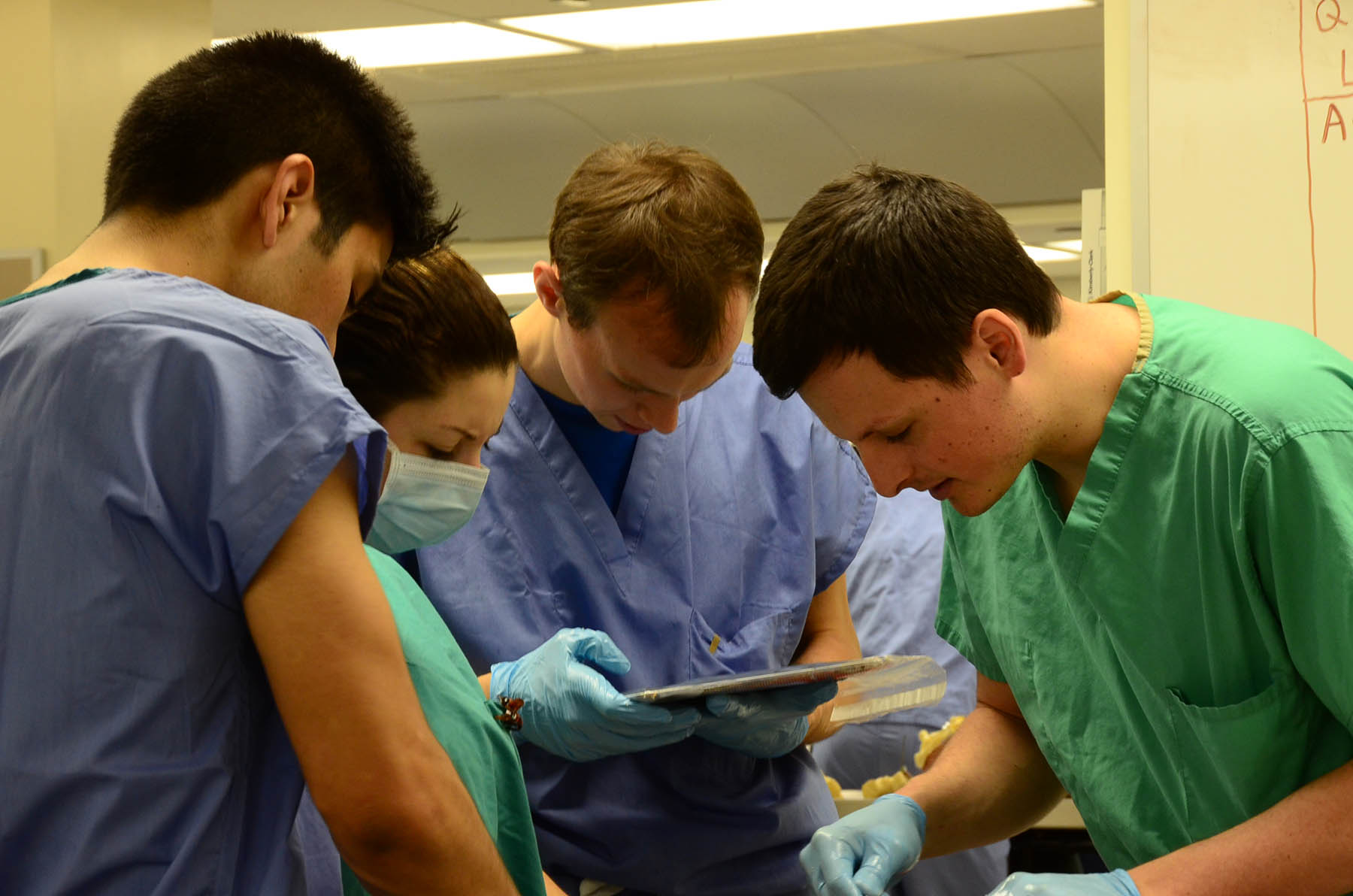 Weill Cornell's iPad Revolution Reaches Gross Anatomy Lab | Newsroom ...