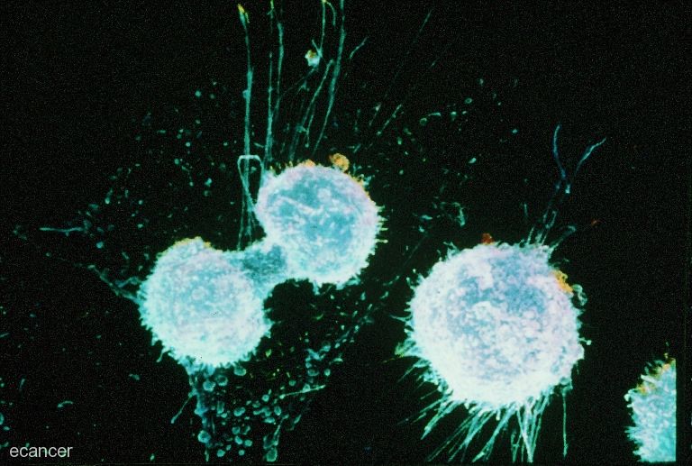 Two WCM Scientists Receive Inaugural Pershing Square Foundation Ovarian ...