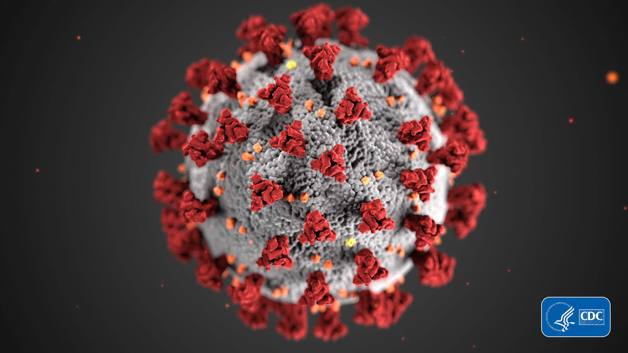 What You Need to Know About the Coronavirus | Newsroom | Weill Cornell ...