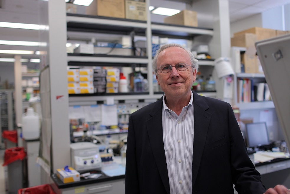 Enzyme Digests Amyloid-Beta Associated with Alzheimer’s Disease ...
