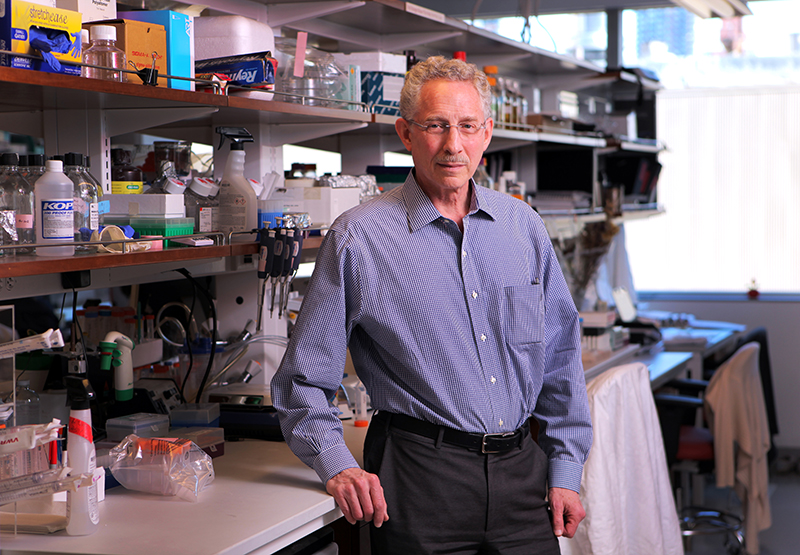 Resistance Movement | Newsroom | Weill Cornell Medicine