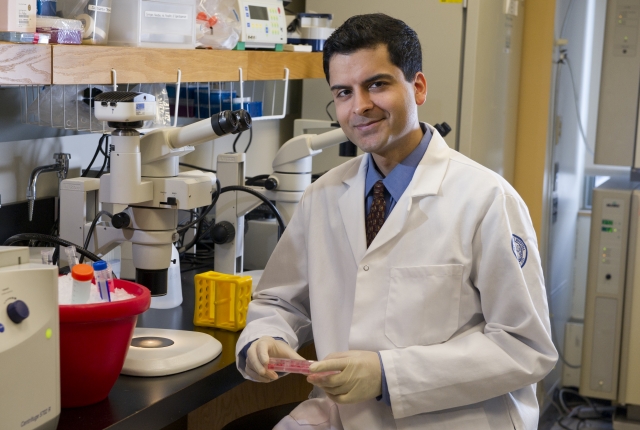 Vitamin Supplement Successfully Prevents Noise-Induced Hearing Loss ...