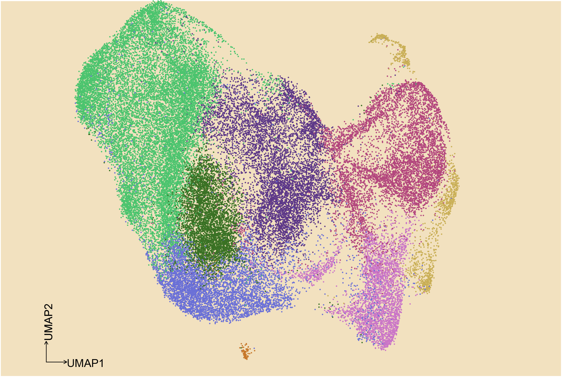 Cancer Progression Illuminated by New Multi-Omics Tool | Newsroom ...