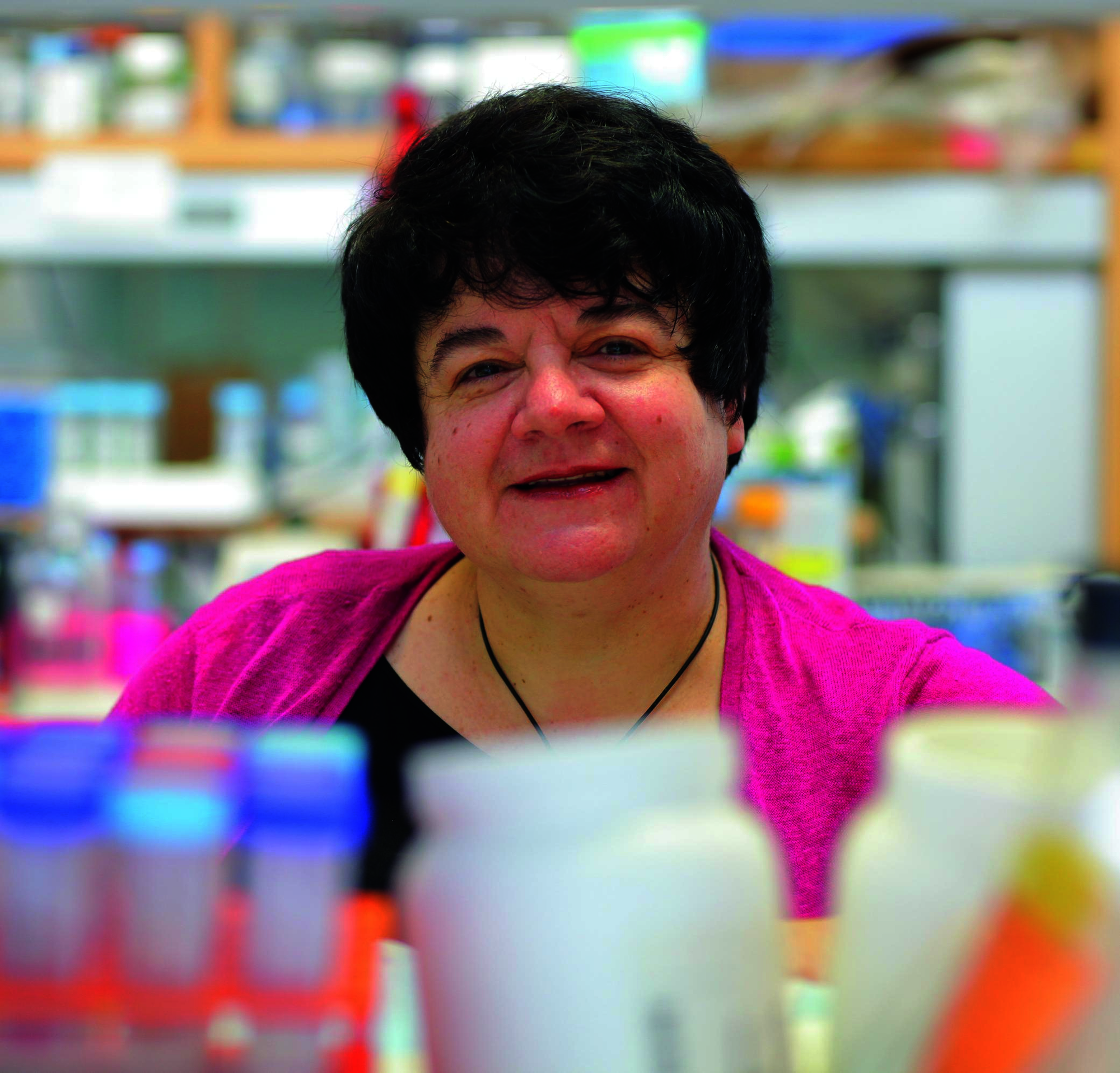 Researchers Discover First Gene Linked to Missing Spleen in Newborns ...