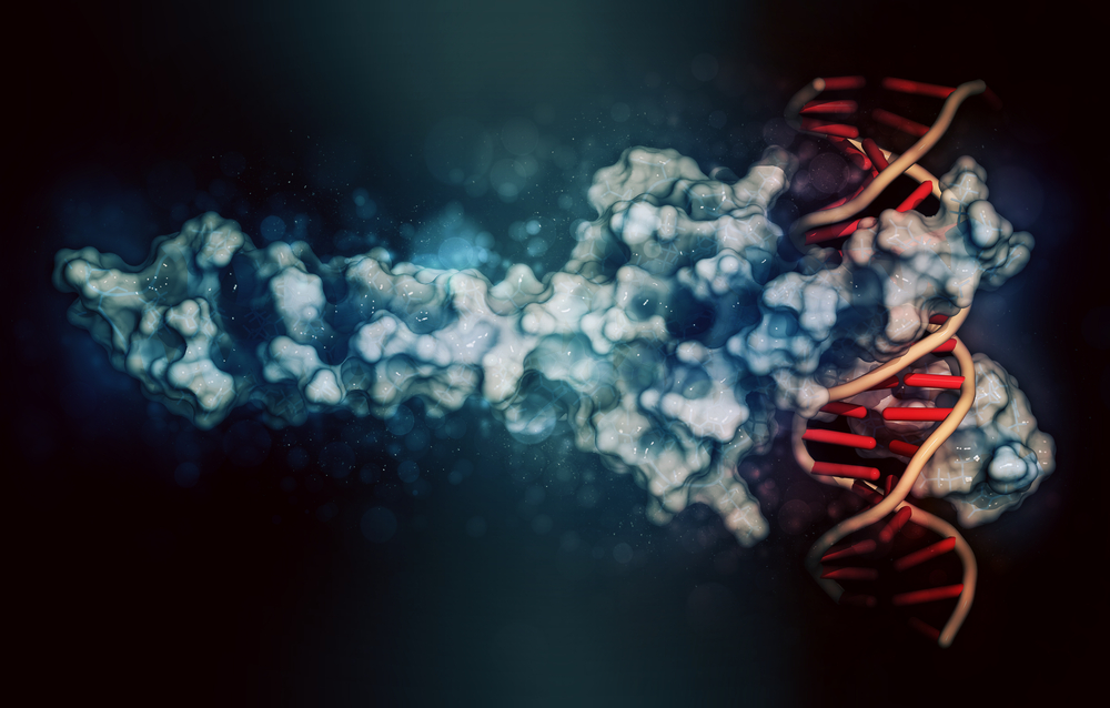 A Breakthrough Single-Cell Method for Mapping DNA-Protein Interactions ...