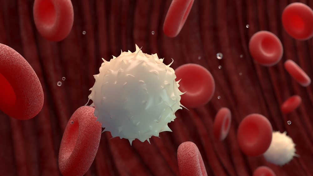 Researchers Identify Key Regulator of Blood Stem Cell Development ...