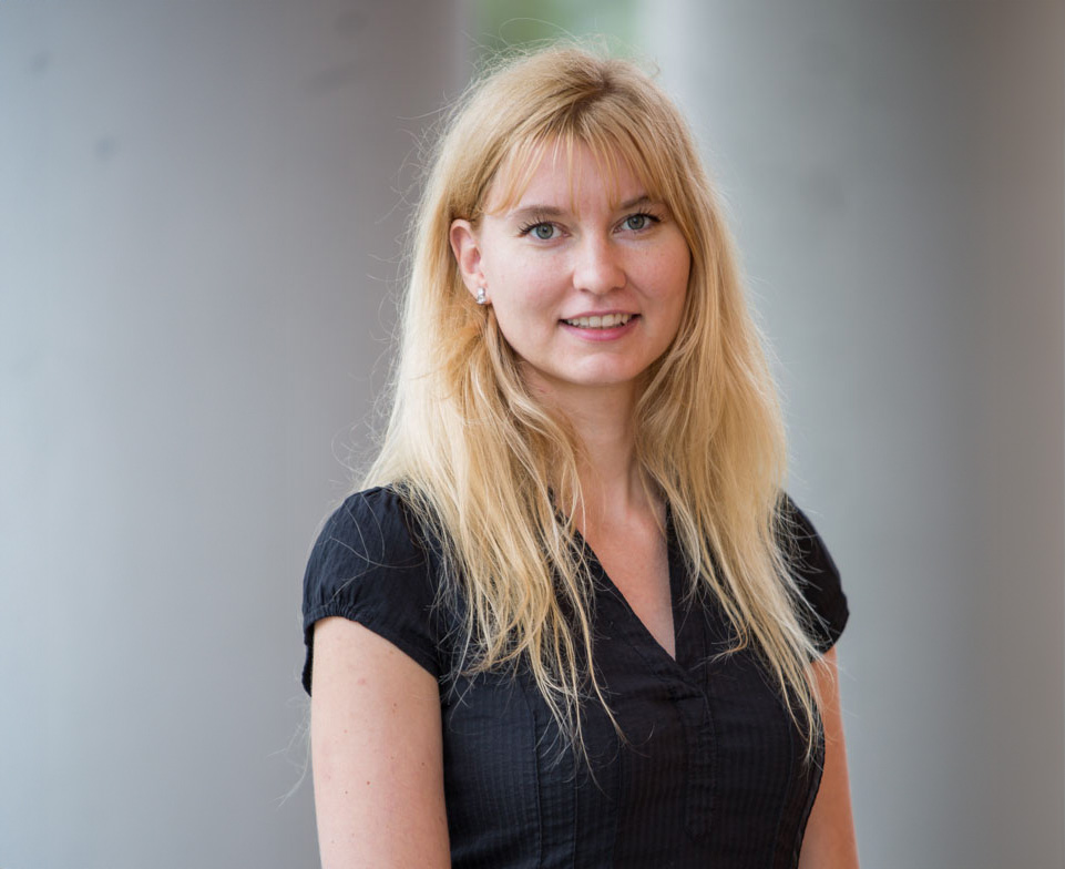 Prestigious NIH Grant Explores Repetitive DNA Sequences and Cell ...