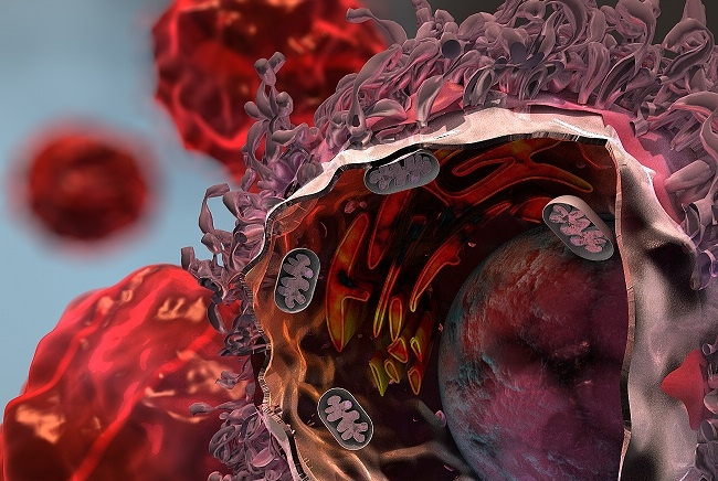 Research | Weill Cornell Medicine Research | Weill Cornell Medicine